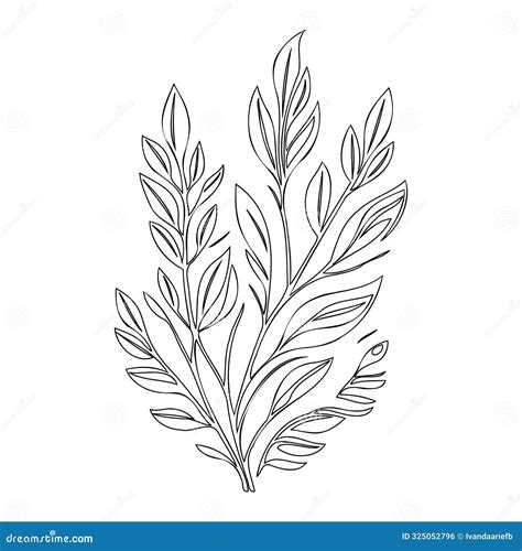 Parallel Leaf Floral Outline Illustration Sketch Stock Vector