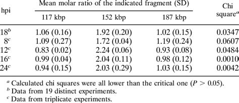 Statistical Analysis Of The Inversions Inside Wild Type Replicative