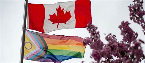 Lrsd Pride Parade Information