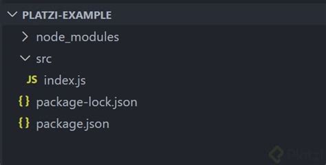 Cómo crear tu primera API en NestJS