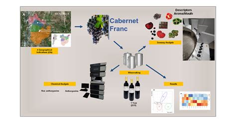 Classification Of Cabernet Franc Wines From Different Geographical