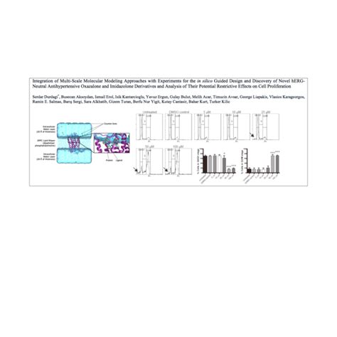 A Representation Of A Md Simulation Box The Protein Is Embedded To