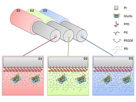 Schematic Representation Of The Main Designs Of Glutamate Biosensors