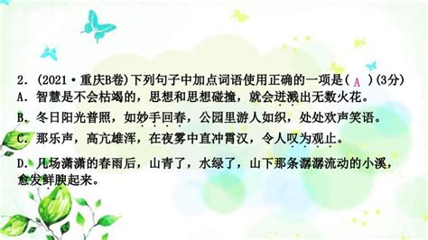 中考语文复习知识及运用专题二词语的理解与运用教学课件 教习网课件下载