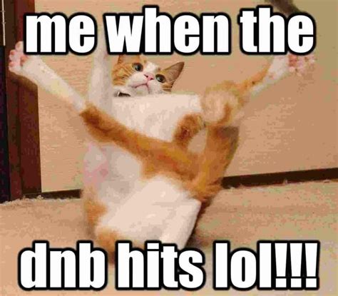 a few awful lolcat memes that i made r breakcore