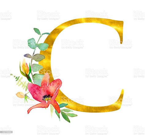 흰색 배경에 고립 된 수채화 꽃과 잎으로 장식 된 황금 고전 양식 문자 C 결혼식 초대장 포스터 카드 홈 데코레이션 기타 컨셉을
