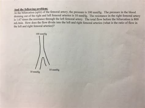 Solved At The Bifurcation Split Of The Femoral Artery The