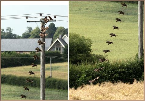 Image Of The Day By Subject