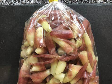 𓆸【全国の生産量90を誇る高知県産】 【期間限定価格】 𓍯茎みょうが𓍯 500g：高知県産｜食べチョク｜農家・漁師の産直ネット通販 旬の