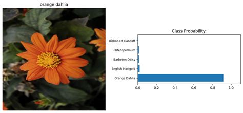 Github Sondosaabed Flowers Image Classifier With Deep Learning Tf
