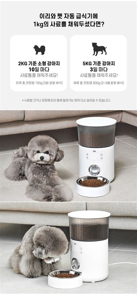[오아] 이리와 펫 고양이 강아지 4l 자동급식기 애견 반려견 Ofe 001wh 현대shop 현대자동차 공식 온라인몰