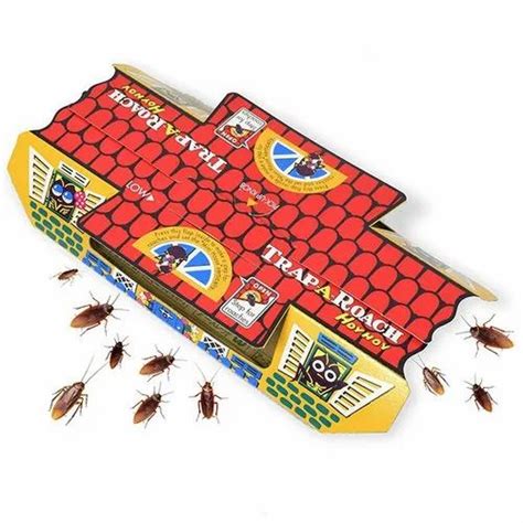 Cockroach Glue Trap At Best Price In India