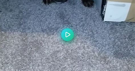 Django Album On Imgur