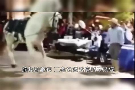 动物也疯狂，喝酒喝到断片？但凡有一粒花生米都不会喝成这样花生动物