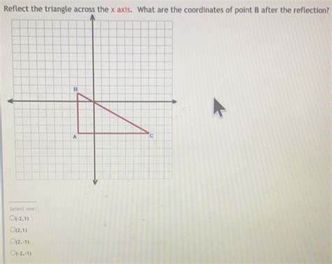 Reflect The Triangle Across The X Axis What Are T Gauthmath