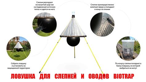 Ловушка для слепней и оводов BioTrap - YouTube