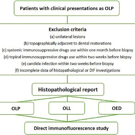 Diagram Of The Protocol Design Abbreviations Dif Direct Download Scientific Diagram