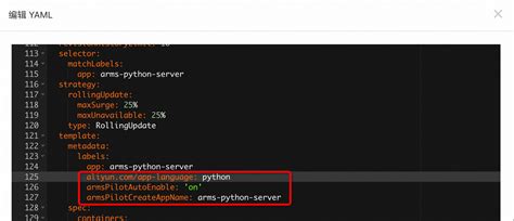 容器服务ack和容器计算服务acs通过ack Onepilot组件安装python探针应用实时监控服务arms 阿里云帮助中心