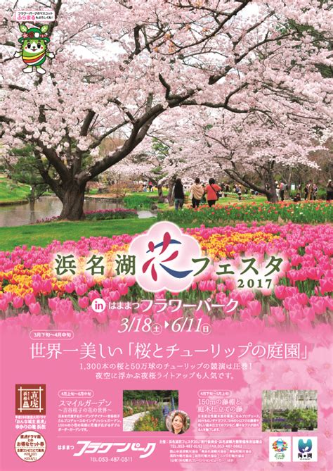 Parque Em Hamamatsu Oferece Visual Deslumbrante 1 300 Cerejeiras E 500 Mil Tulipas