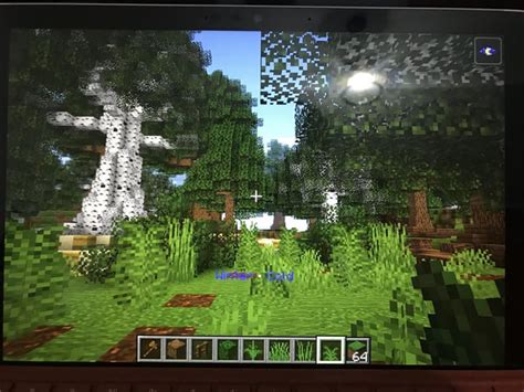 A Deciduous Forest I Made For A Geography Assignment Way Back In Year 7