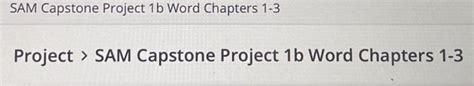 Solved Project Sam Capstone Project 1b Word Chapters