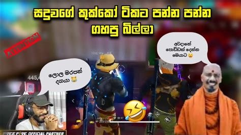 සදුවගේ කුක්කෝ ටිකට පන්න පන්න ගහපු බිල්ලා 😹💔 B I L L A Youtube
