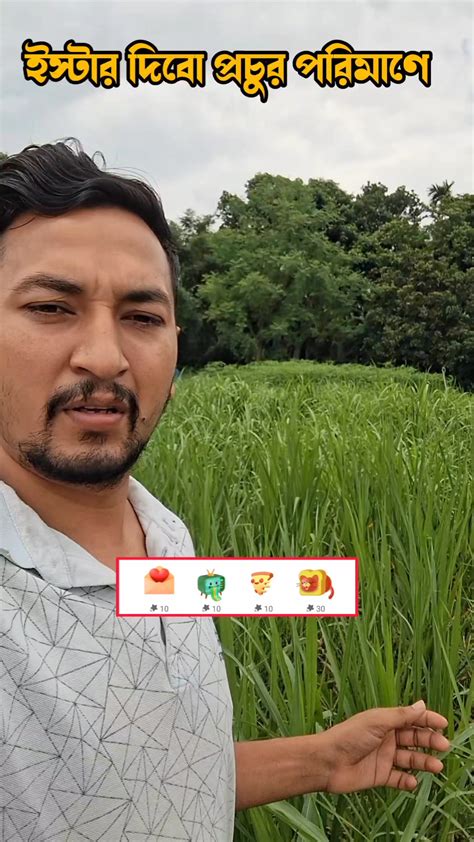 Jahid Hasan