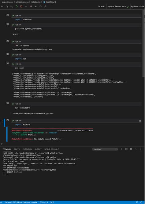VS Code Does Not Change To Selected Interpreter Issue 5364 Microsoft Vscode Jupyter GitHub