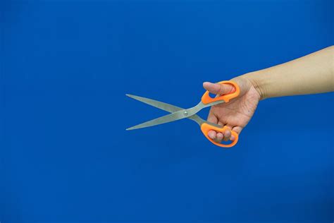 22 Different Types Of Scissors And Their Uses With Pictures Homenish