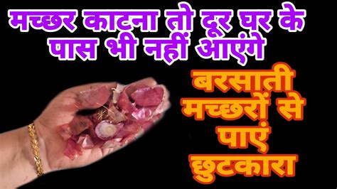 न कमकल न कटनशक यह ह मचछर भगन क घरल नसख YouTube