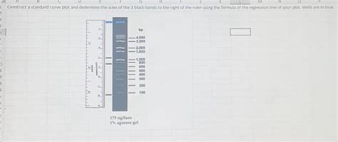 Solved Construct A Standard Curve Plot And Determine The Chegg