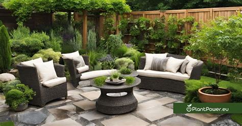 Applying Feng Shui Principles To Outdoor Gardens Plantpowereu