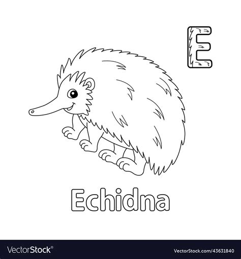 Echidna Coloring Page