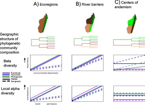 Illustration Of Predictions For Patterns Of Beta Diversity And Local