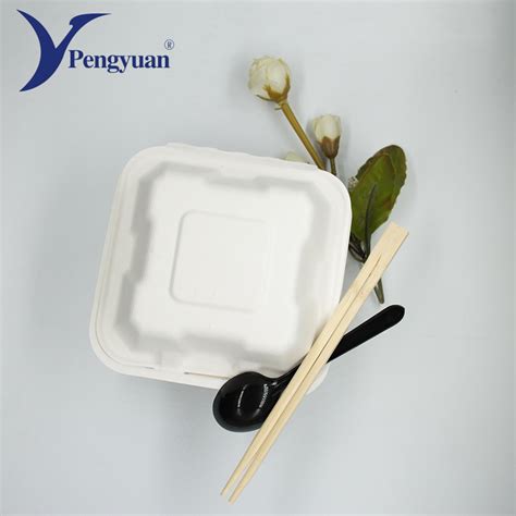 Biodegradable Takeaway Sugarcane Pulp Food Container Sugarcane