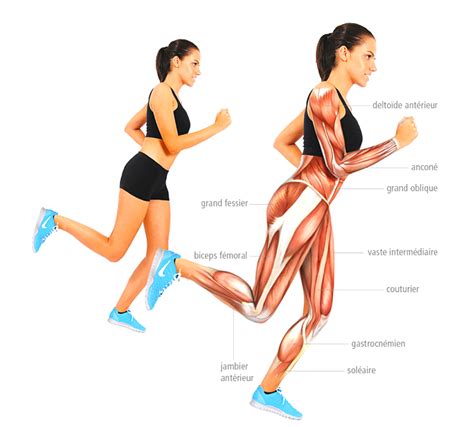 Renforcement musculaire et Course à pied