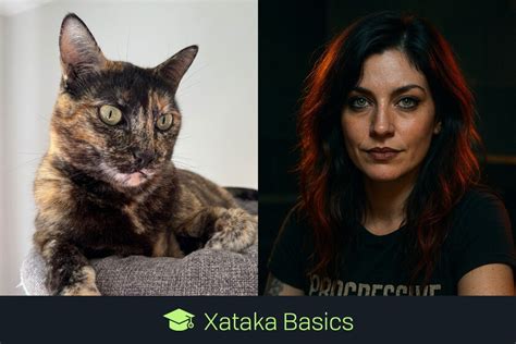 Ainsi Vous Pouvez Humaniser Votre Chien Ou Votre Chat Avec Chatgpt