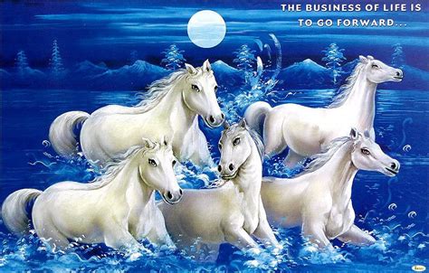 Wild Beauties