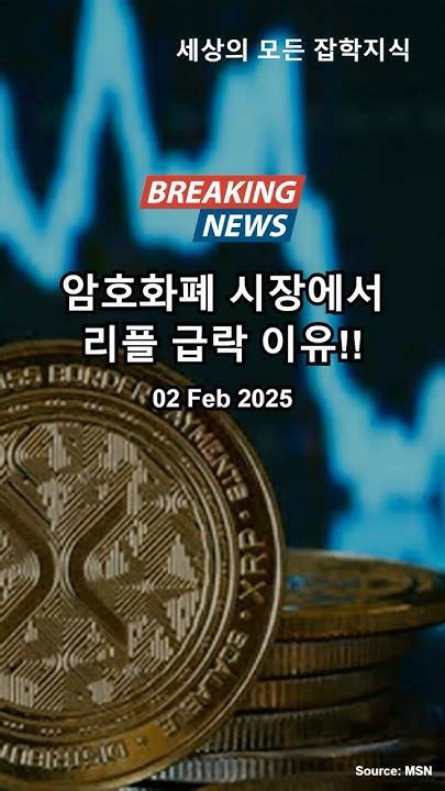 암호화폐 시장에서 리플 급락 이유 암호화폐 시장 리플 급락 이유 Cryptocurrency Market