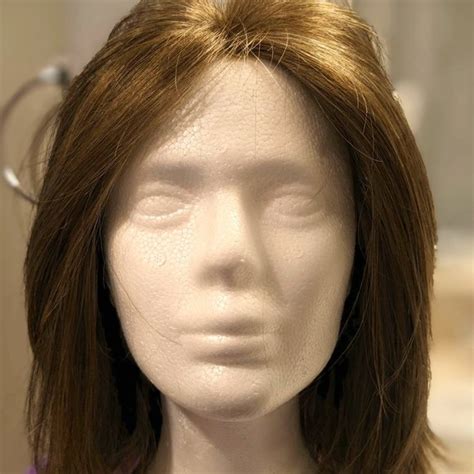 Gabor Hair Gabor Wig Unspoken Nwt Dark Chestnut Lace Front Poshmark