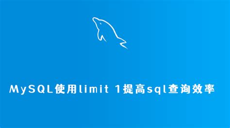 Mysql使用limit 1提高sql查询效率 云梦编程网