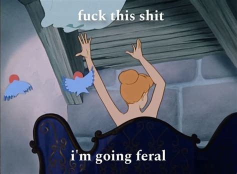 Fanny Packers Memes Funny Cinderella Funny Sayings Cinderella Quotes