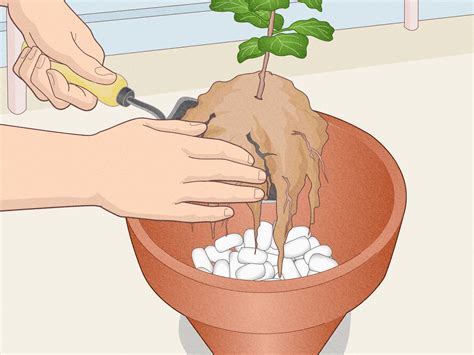 4 Ways To Recycle Styrofoam Wikihow