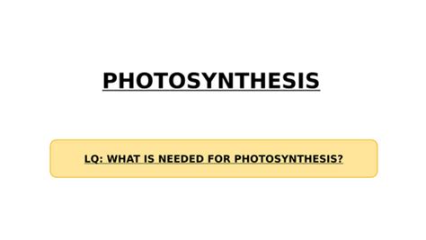Igcse Biology Edexcel Photosynthesis Teaching Resources