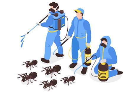 กำจัดปลวก เชียงใหม่ บริษัท ซัคเซซเซอร์วิส เชียงใหม่ จำกัด