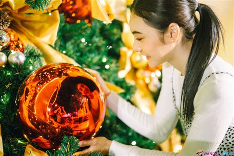 น้องวันดี พาดูไฟ เทศกาลคริสต์มาส สวยเป๊ะ ปัง รับ2020