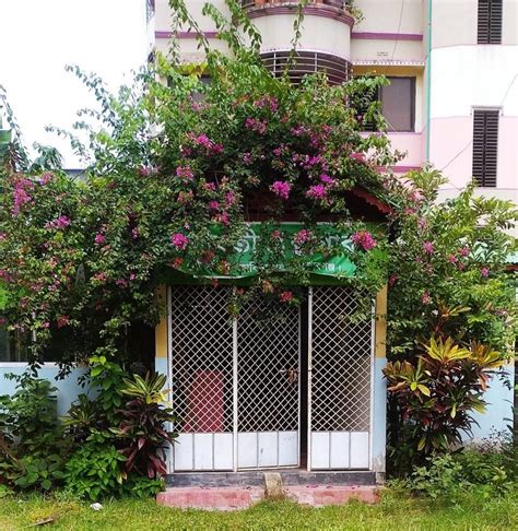 সৈয়দ আশরাফুল ইসলাম পৌর মহিলা কলেজ পরিবার Facebook