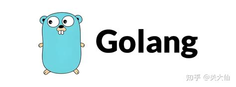 Go 语言自带设计模式 知乎