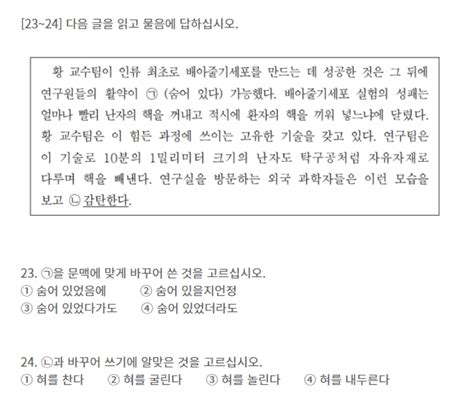 볼 때마다 한국말 잘한다고 생각했는데 알고보니 한국어능력시험 6급인 여돌 인스티즈 Instiz 이슈 카테고리