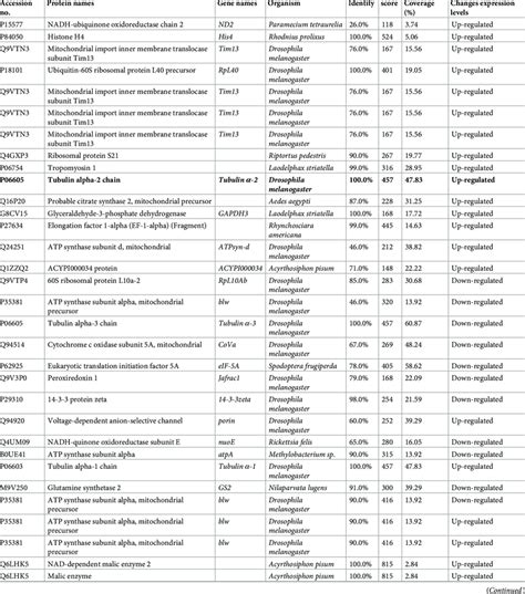 Differentially Expressed Proteins Identified From Proteomic Analysis Of